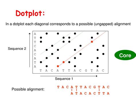 Ppt Sequence Analysis Pair Wise Alignment And Database Searching