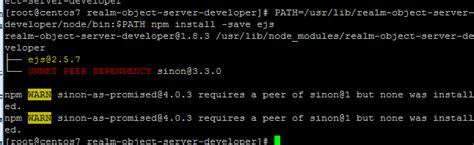 Node Js Unmet Peer Dependency Of Sinon While Installing Express Js