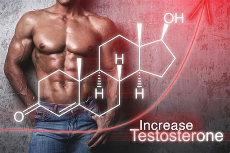 D Aspartic Acid Will Daa Boost Your Testosterone Everything You Need