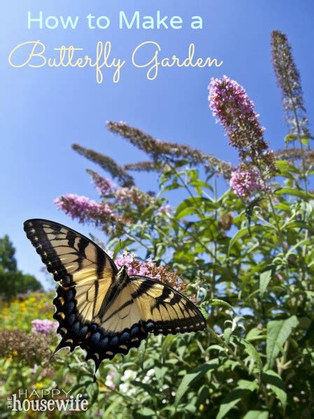How To Make A Butterfly Garden The Happy Housewife™ Home Schooling