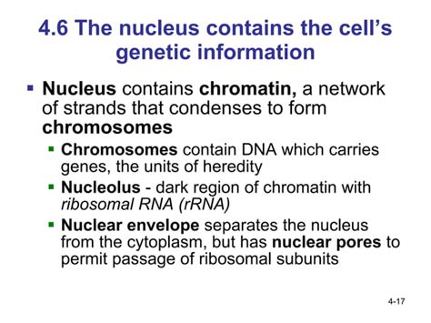 ch 4 structure and function of cells ppt