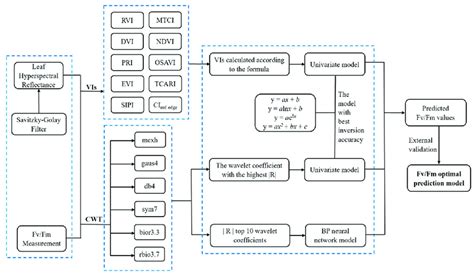 The Overall Flow Chart Of Data Processing Rvi Ratio Vegetation