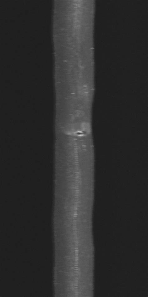 Wf Object Detection Dataset By Chinatrial