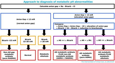 Anion Gap Meaning Symptoms Causes Treatment And More
