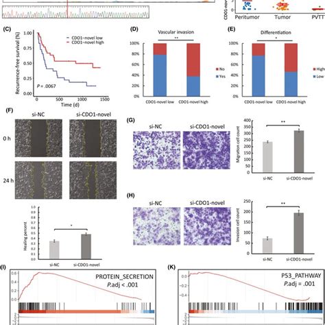 Novel Transcript Profiling Identified In Hepatocellular Carcinoma