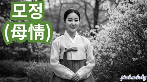 트로트 모정母情 Ver2 ♡♡ Youtube
