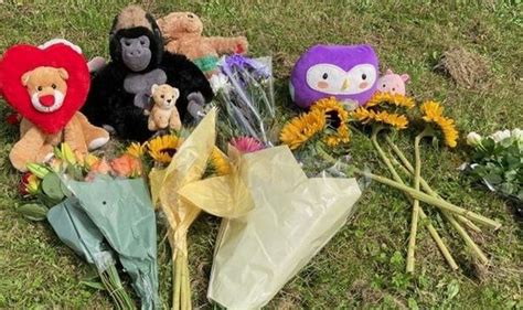 ‘devoted Mum Fatally Drowned Her Son In The Bath ‘to Protect Him From