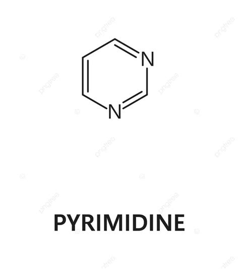Pyrimidine Nucleic Acid Base Nitrogen Vector Base Illustration