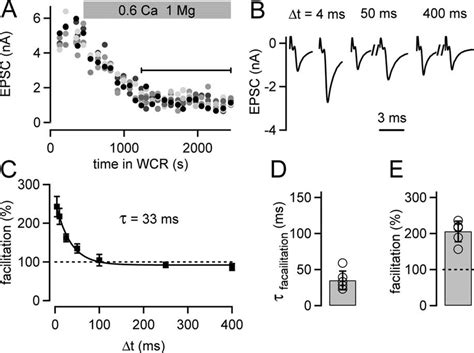 Paired Pulse Facilitation Under Conditions Of Afferent Fiber