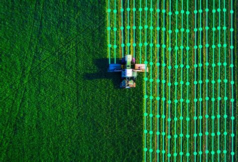 Mindy Support On Linkedin Ai Machinelearning Dataannotation