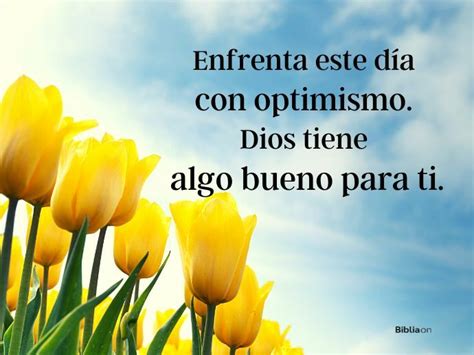 Frases Cristianas Cortas Bonitas Y Motivadoras Biblia