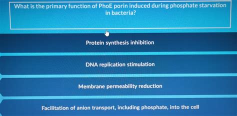 Solved What Is The Primary Function Of Phoe Porin Induced