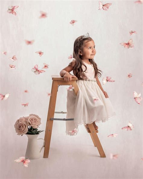 Butterfly Backdrop Overlays Ctandrinadigitals