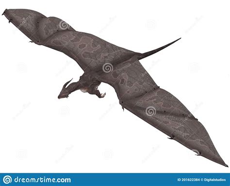 D Render Of A Dragon Stock Illustration Illustration Of Mythology