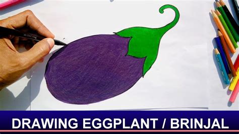 How To Draw Eggplant Brinjal With Easy Steps Youtube