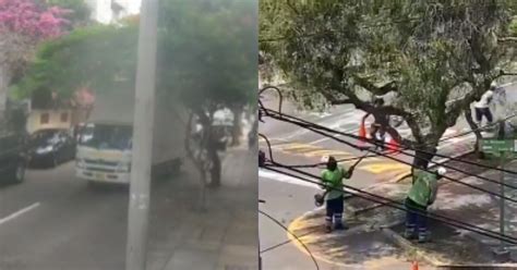 Miraflores Y El Insólito Motivo Por El Que Su Municipalidad Poda