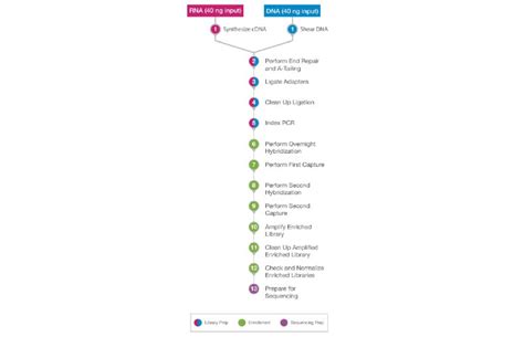 Trusight Tumor 170 Ngs Assay For Dna And Rna Analysis From One Sample
