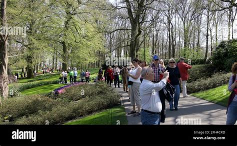 Bulb Fields Keukenhof Gardens Stock Videos And Footage Hd And 4k Video