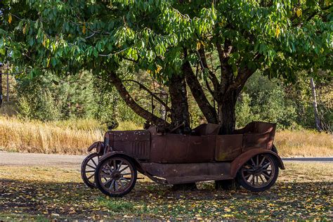 Tree Growing Out Of Old Car Photograph By Rob Green