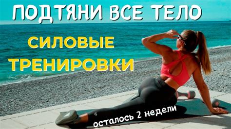 День 22 ПРОСТАЯ Интенсивная СИЛОВАЯ на ВСЕ ТЕЛО без повтора упражнений