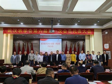 丁俊平连任会长，朱伯华任秘书长时事国内时政好看视频