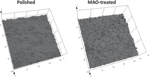 Three Dimensional Surface Roughness Profile Of The Polished And