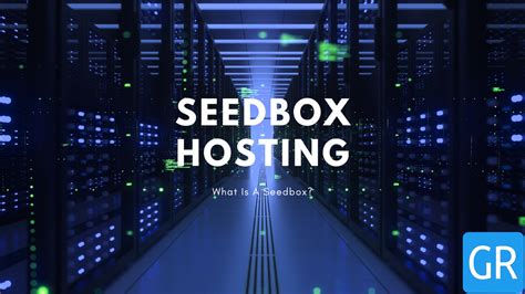 What Is A Seedbox Gigarapid Blog