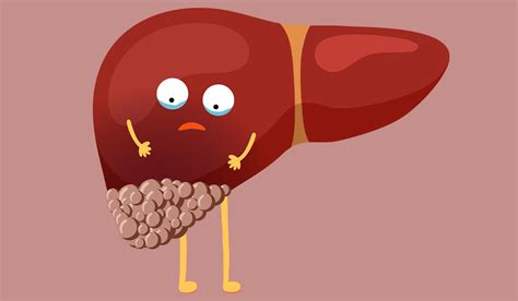 Liver Damage What Is Causes Symptoms And Treatment