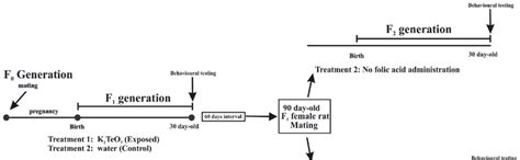 Experimental Design Of The Intergenerational Effect Of Te In Maturing