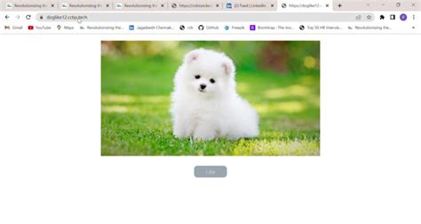 jagadeesh chennakkagari on linkedin html css javascripts