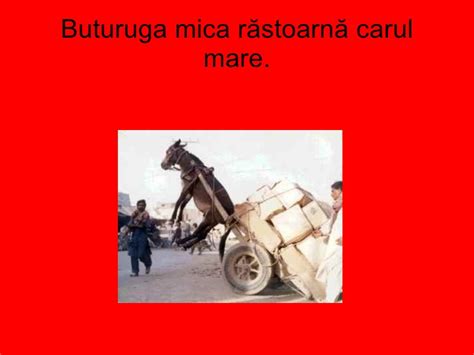 VORBE SI PROVERBE DIN TOATA LUMEA Buturuga Mica Rastoarna Carul Mare