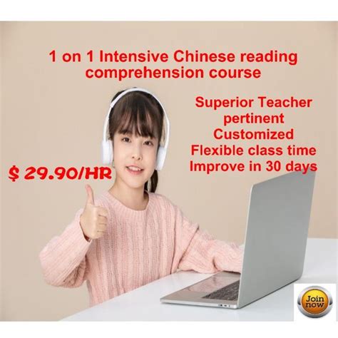 online chinese reading comprehension 1 on 1 chinese tuition mater