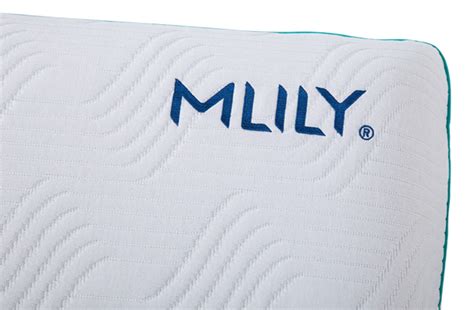 Mlily Bamboo Memory Foam Pillow Pair The Bed Post
