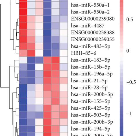Heatmap Of Differentially Expressed Circrna Mirna And Mrna Red