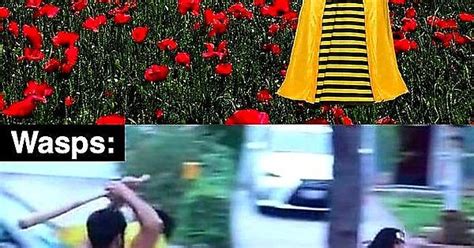 Thicc Album On Imgur