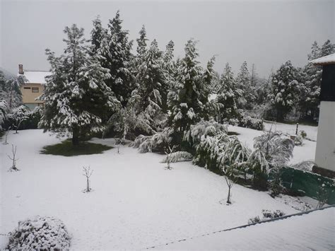 雪 冬天 Pixabay上的免费照片 Pixabay