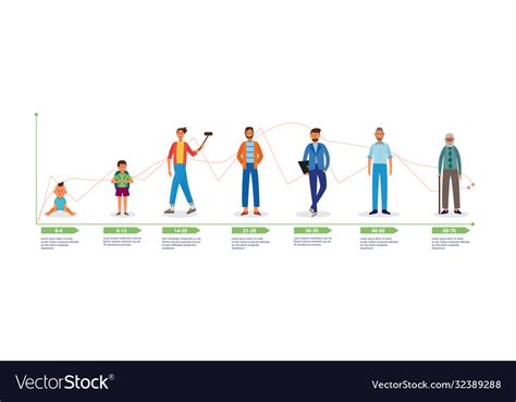 Life Cycle Chart Cartoon Character Growing From Vector Image