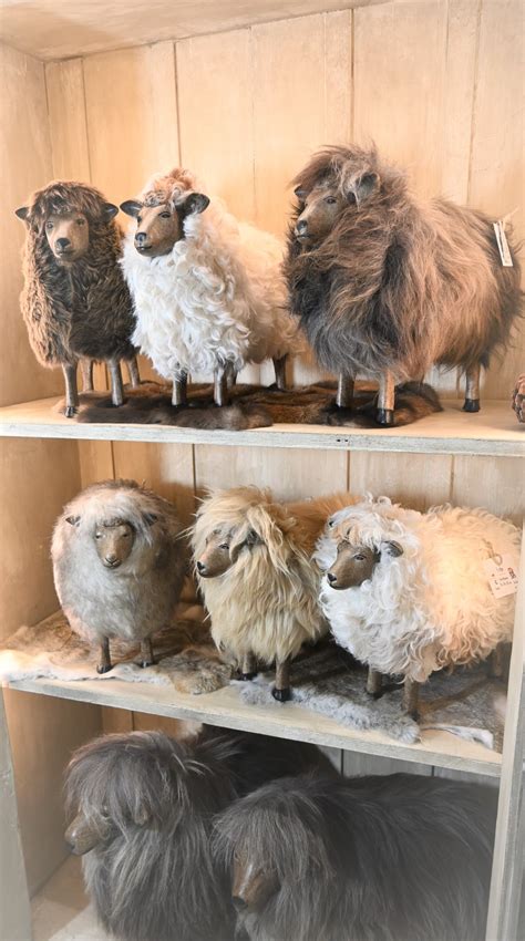 Miniatuur And Mini Schaapjes Komen Uit Floris Collection