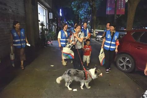 【同心同行· 共筑亚运】民进桐庐基层委开展夜巡进社区活动澎湃号·政务澎湃新闻 The Paper
