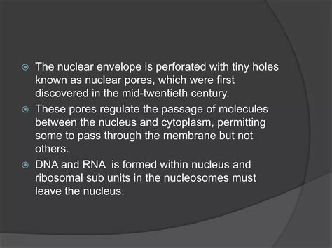 Nuclear Pores In Animal Cells