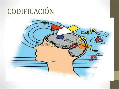 Ppt Naturaleza Proceso Y Estructura De La Memoria Powerpoint