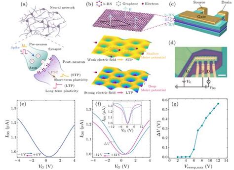 物理学院梁世军、缪峰团队首次实现莫尔突触晶体管 南京大学