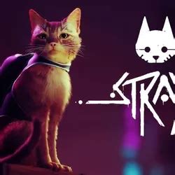 Купить игру Stray от 149₽ на ПК, Xbox, PS с гарантией — GGSel