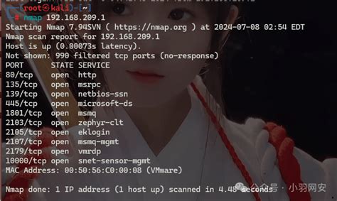 内网隐蔽扫描，nmap高级用法 Csdn博客