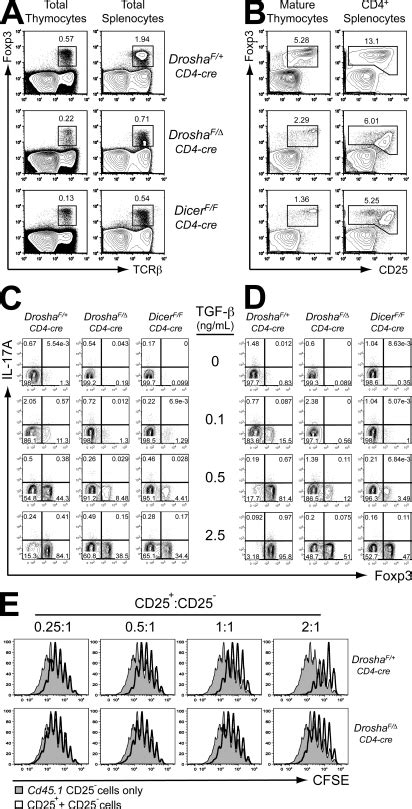 Drosha And Dicer Dependent Pathways Are Required For Efficient