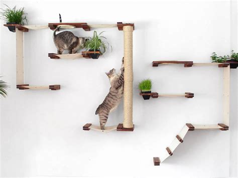 Minimalist Modular Systems Turn Walls Into Feline Playgrounds Sysyphoto