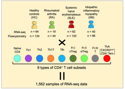 【cns速览】单细胞联合空间转录组在免疫方向的高分文献思路（3） 知乎