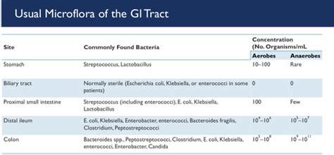 Intra Abdominal Infections Flashcards Quizlet
