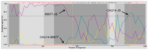 Viruses Free Full Text Isolation And Pathogenicity Analysis Of A