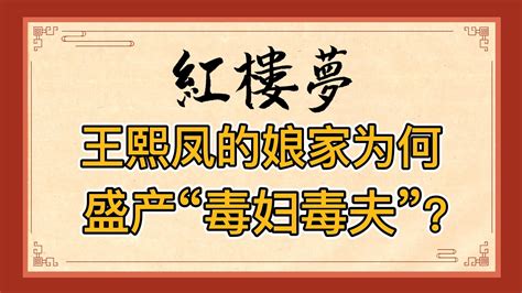 红楼梦：王熙凤的娘家为何盛产“毒妇毒夫”？伯爵王府重利贪婪、冷血无情的家教害人害己！ 南山橘暖读书时 南山橘暖读书时 哔哩哔哩视频